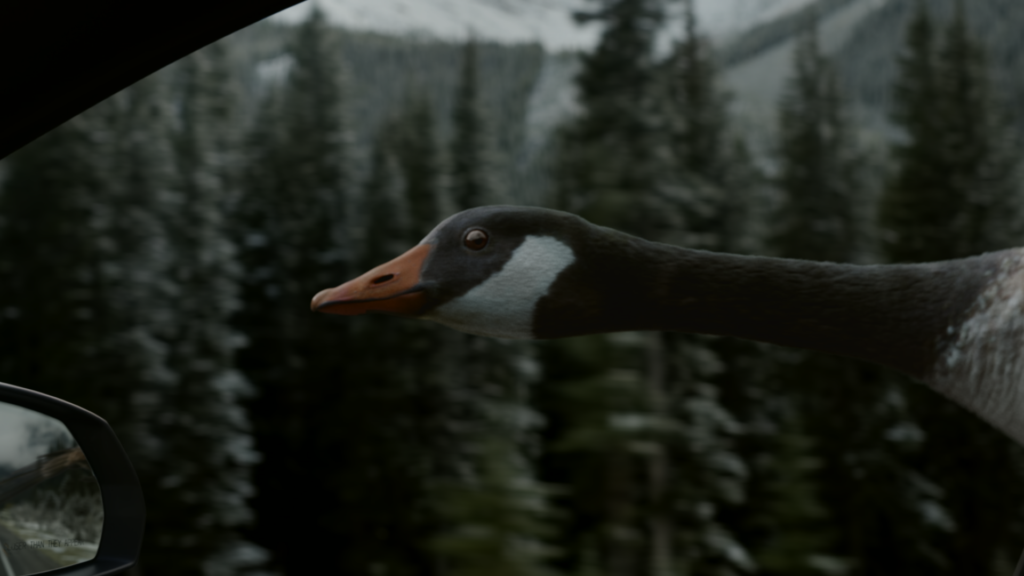 Goose Chase – Jamm Visual