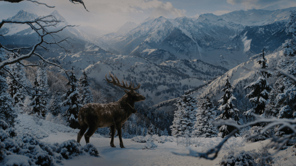 Call of the Cold – Jamm Visual